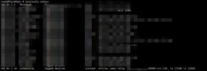 一个更简单的Tailscale中继：Peer-Relay – XZH的博客
